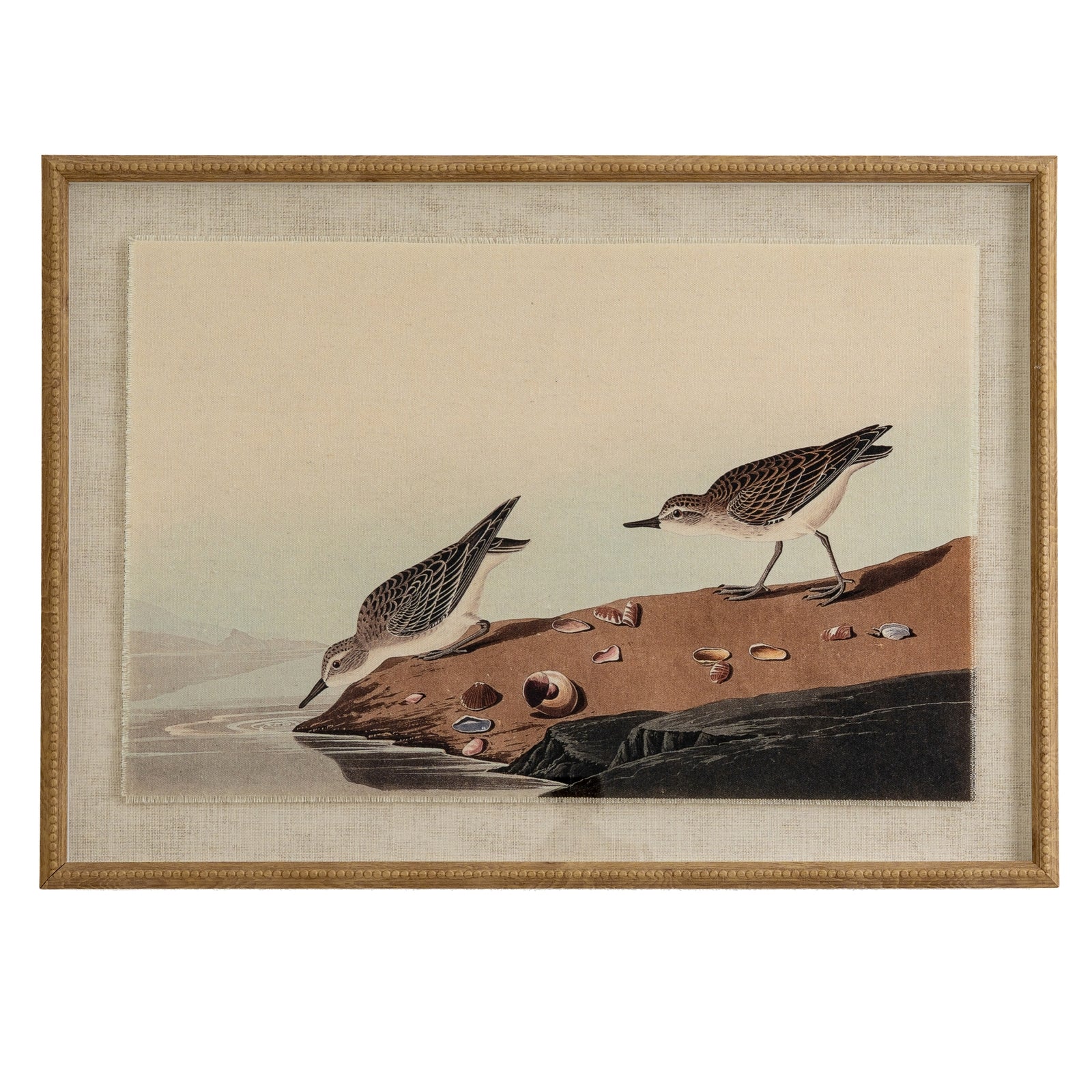 Flora & Fauna Collection Stints On Linen In Beaded Frame W62×D2×H45cm ...