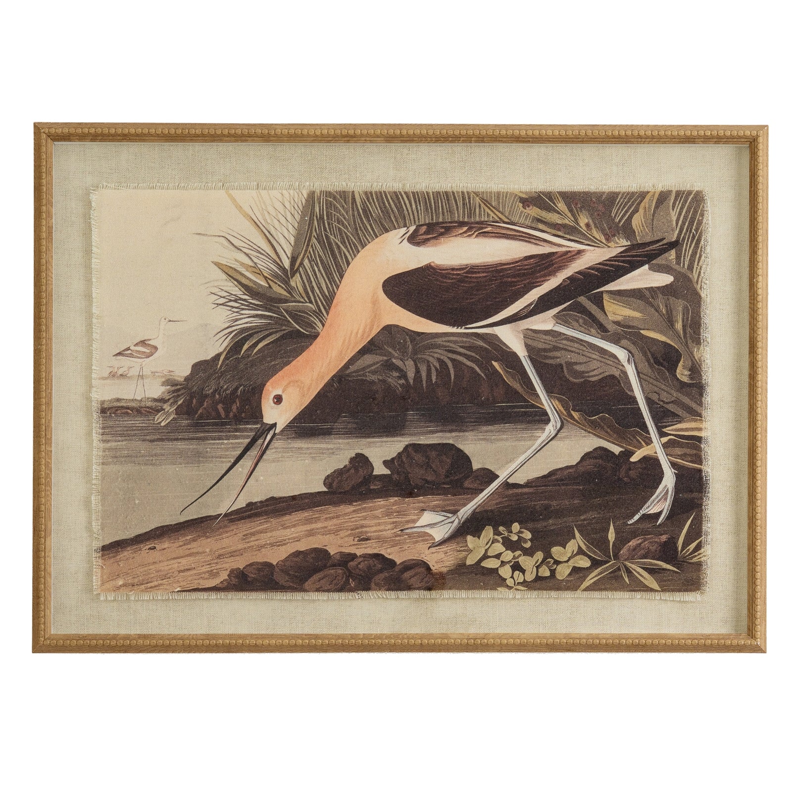 Flora & Fauna Collection Avocet On Linen In Beaded Frame W62×D2×H45cm ...