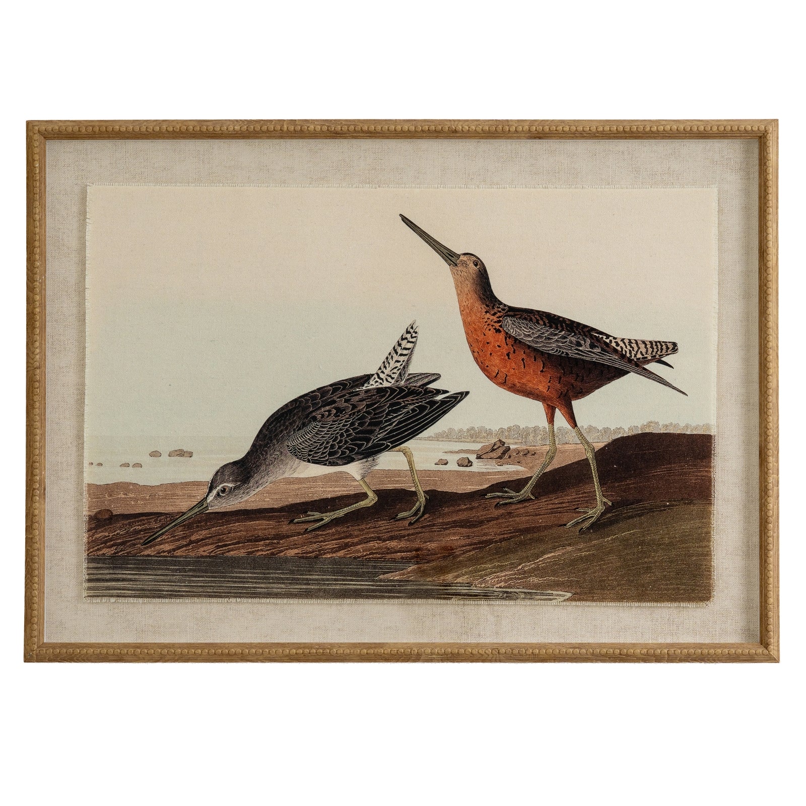 Flora & Fauna Collection Snipes On Linen In Beaded Frame W62×D2×H45cm ...