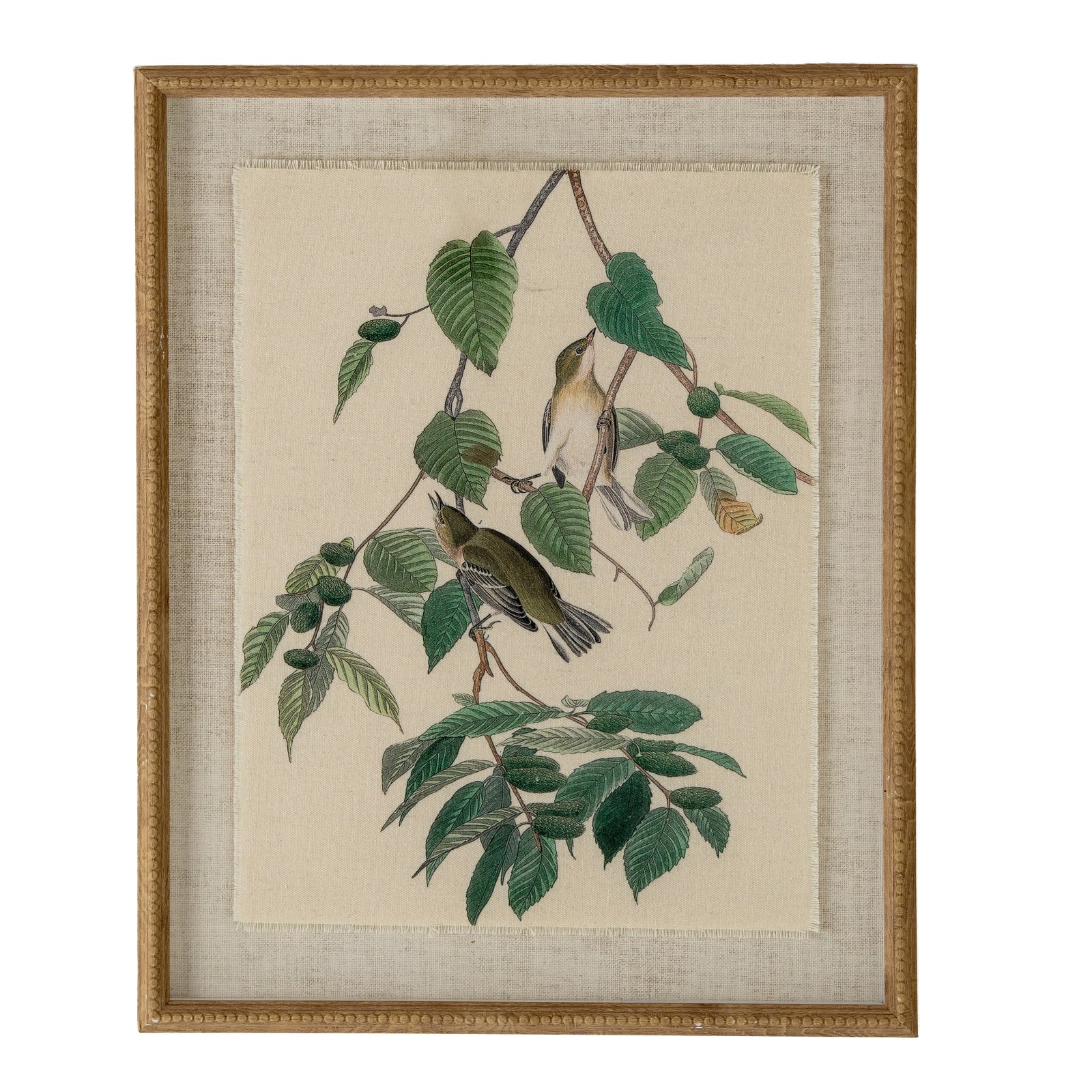 Warblers British Wildlife Linen Wall Art in Beaded Frame | Flora ...