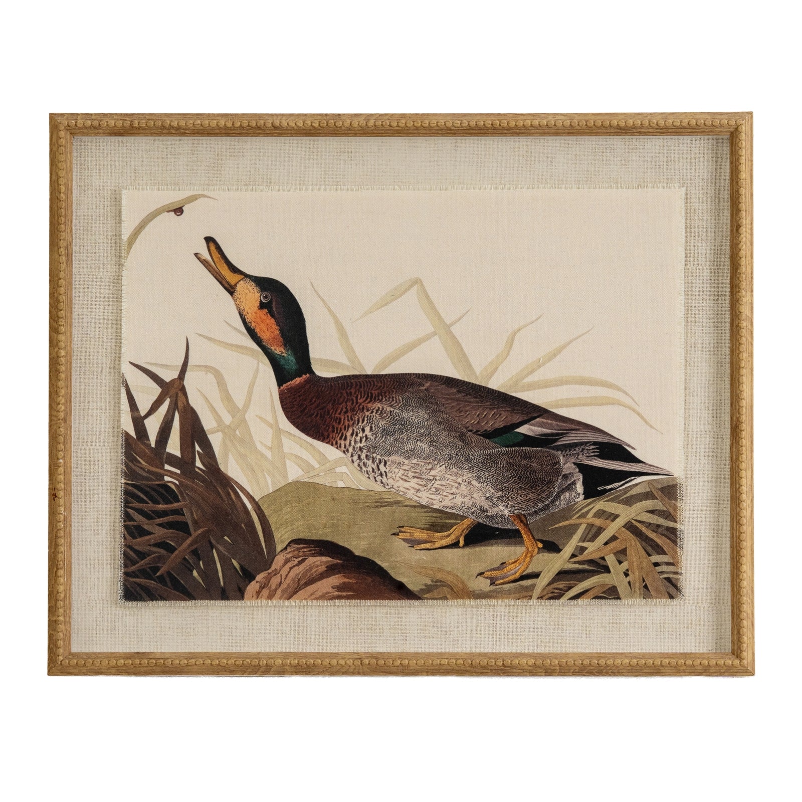 Duck Linen Wall Art in Beaded Frame | Flora & Fauna UK – Noble & Nook